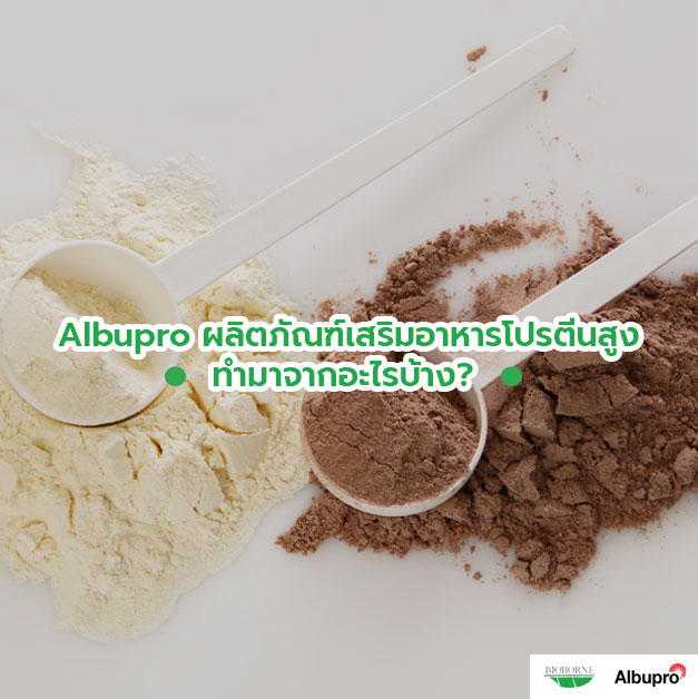 Albupro ผลิตภัณฑ์เสริมอาหารโปรตีนสูง ทำมาจากอะไรบ้าง